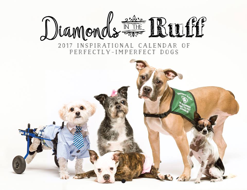 Diamonds In The Ruff